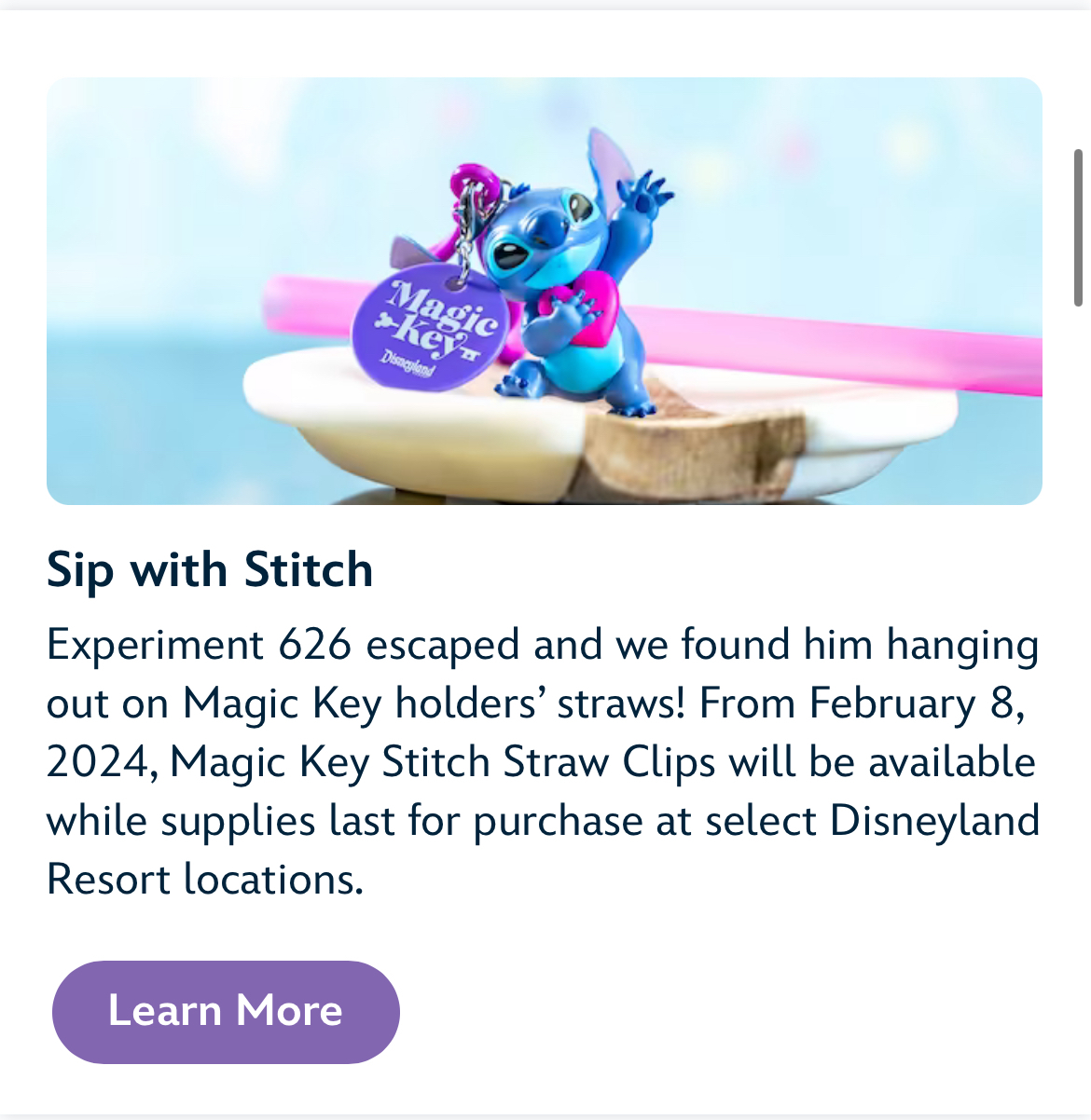 Do You Qualify for This NEW Disney Stitch Souvenir? - AllEars.Net