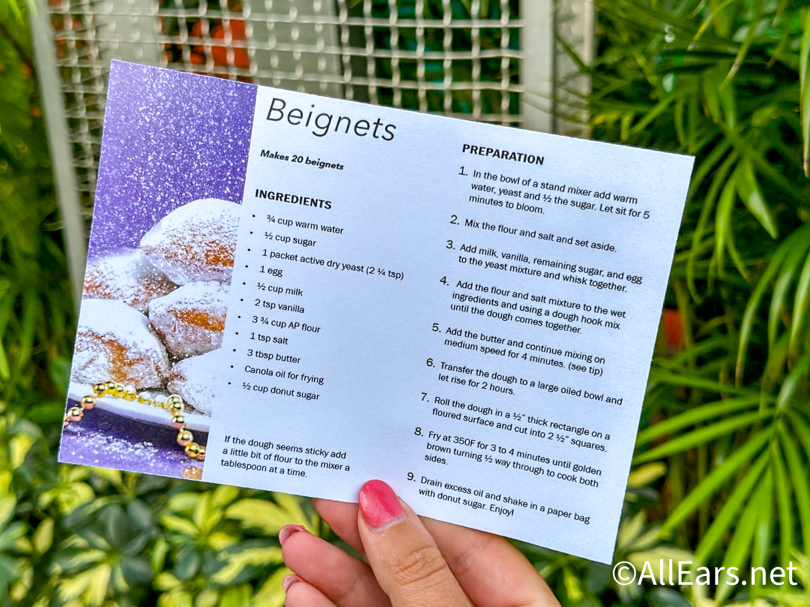 FULL Guide to Mardi Gras at Universal Orlando in 2024! - AllEars.Net