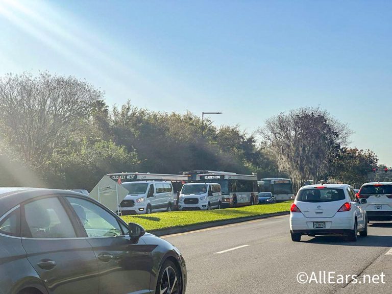 A NEW Rule Could Change How You Drive to Disney World - AllEars.Net
