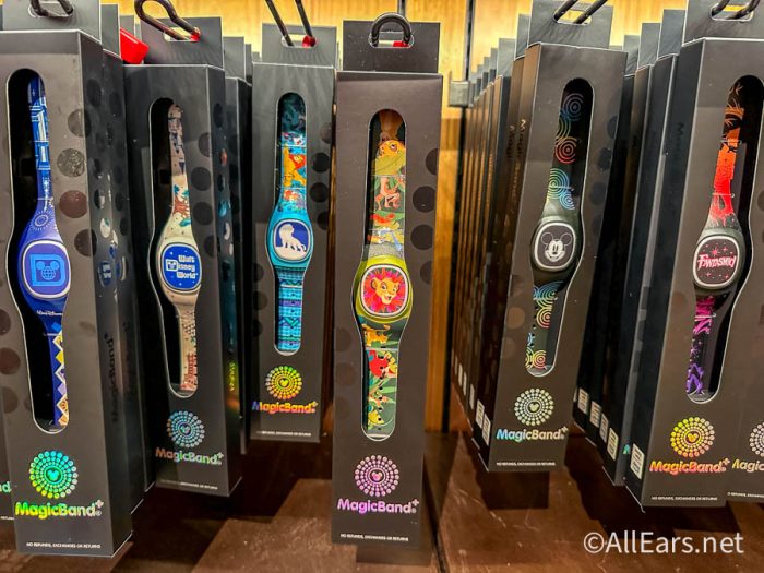 The MagicBand Hack Disney Adults Swear By - AllEars.Net