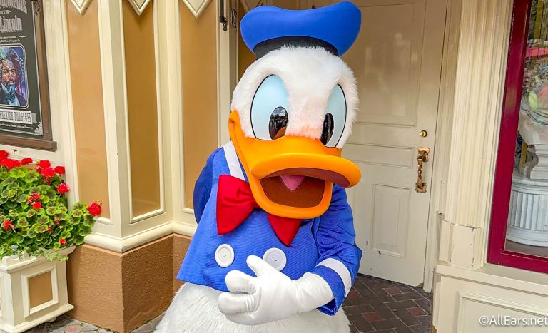 Former Disney World Cast Members Share the Silliest Things People Asked ...