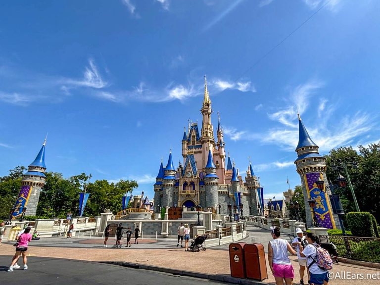 The Unspoken Dress Code Disney Moms Are Following In Disney World Allearsnet