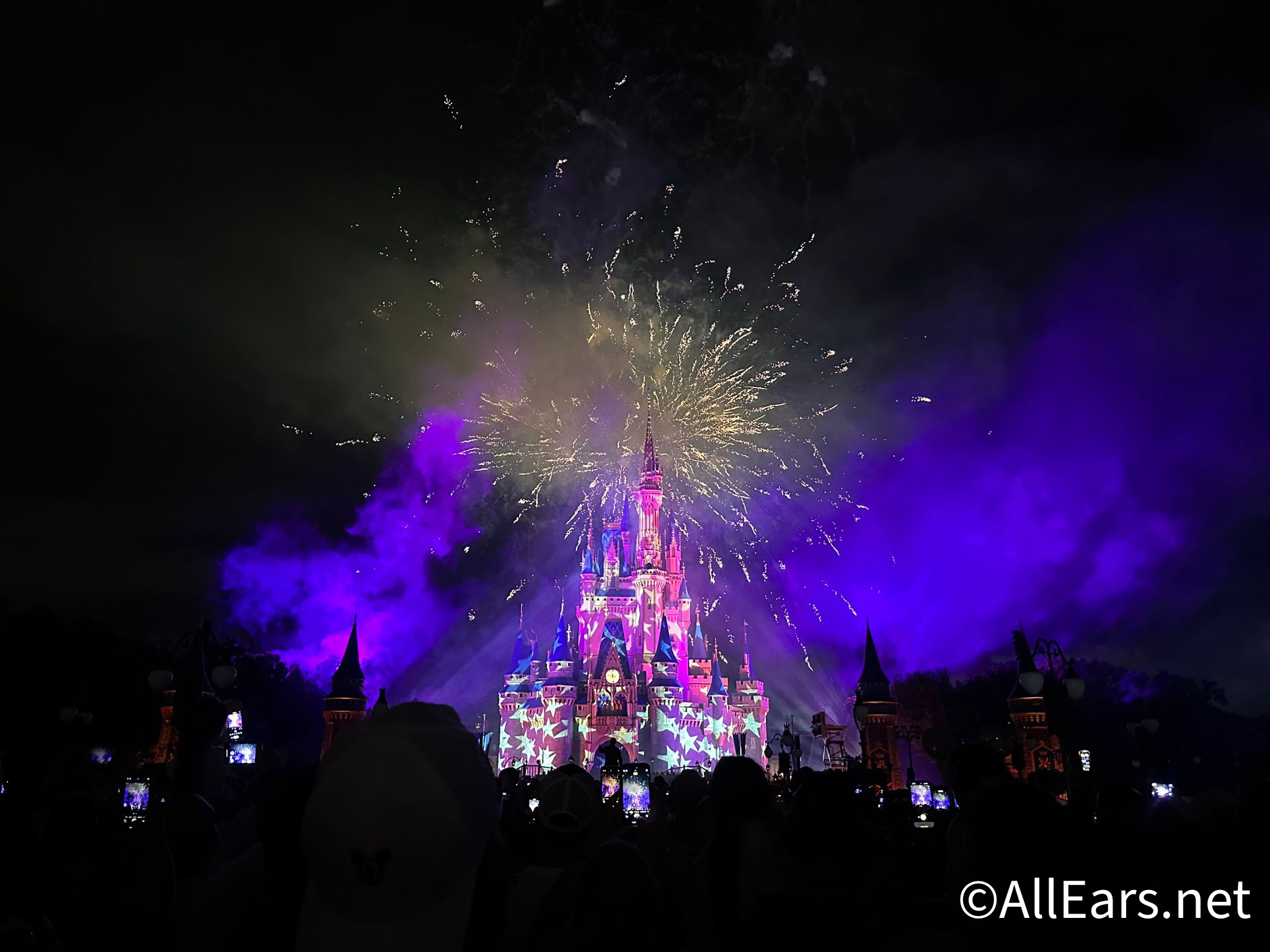 You Only Have TWO Nights to See These Exclusive Magic Kingdom Fireworks ...