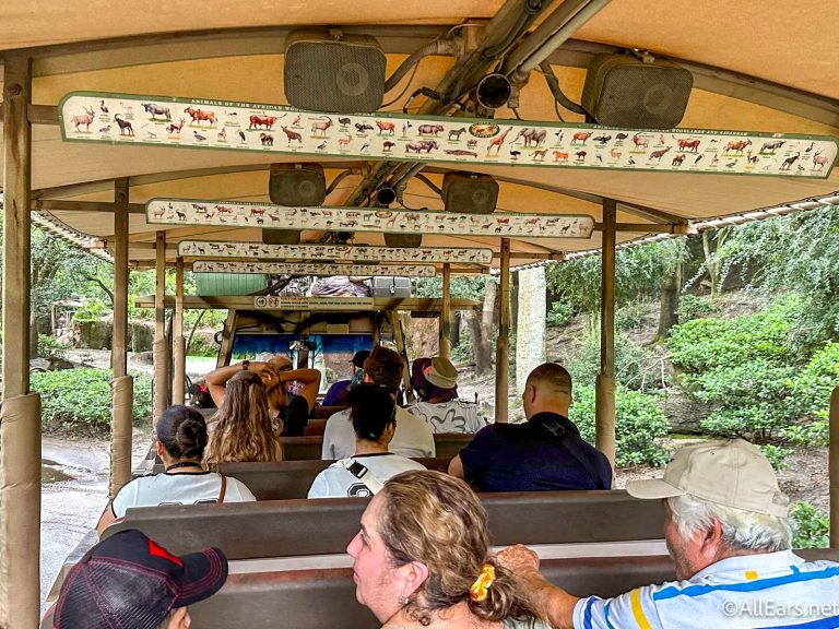 Ranking These 15 Disney World Ride Vehicles From Kinda Comfortable to ...