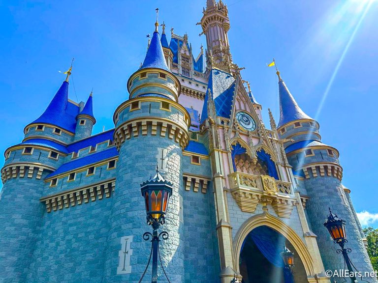 CONFIRMED: Even Disney Executives Say Disney World Is Too Expensive ...