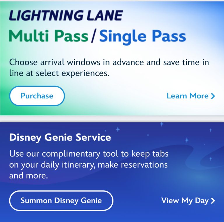 How Does Rider Switch Work For Lightning Lane Multi and Single Pass in ...