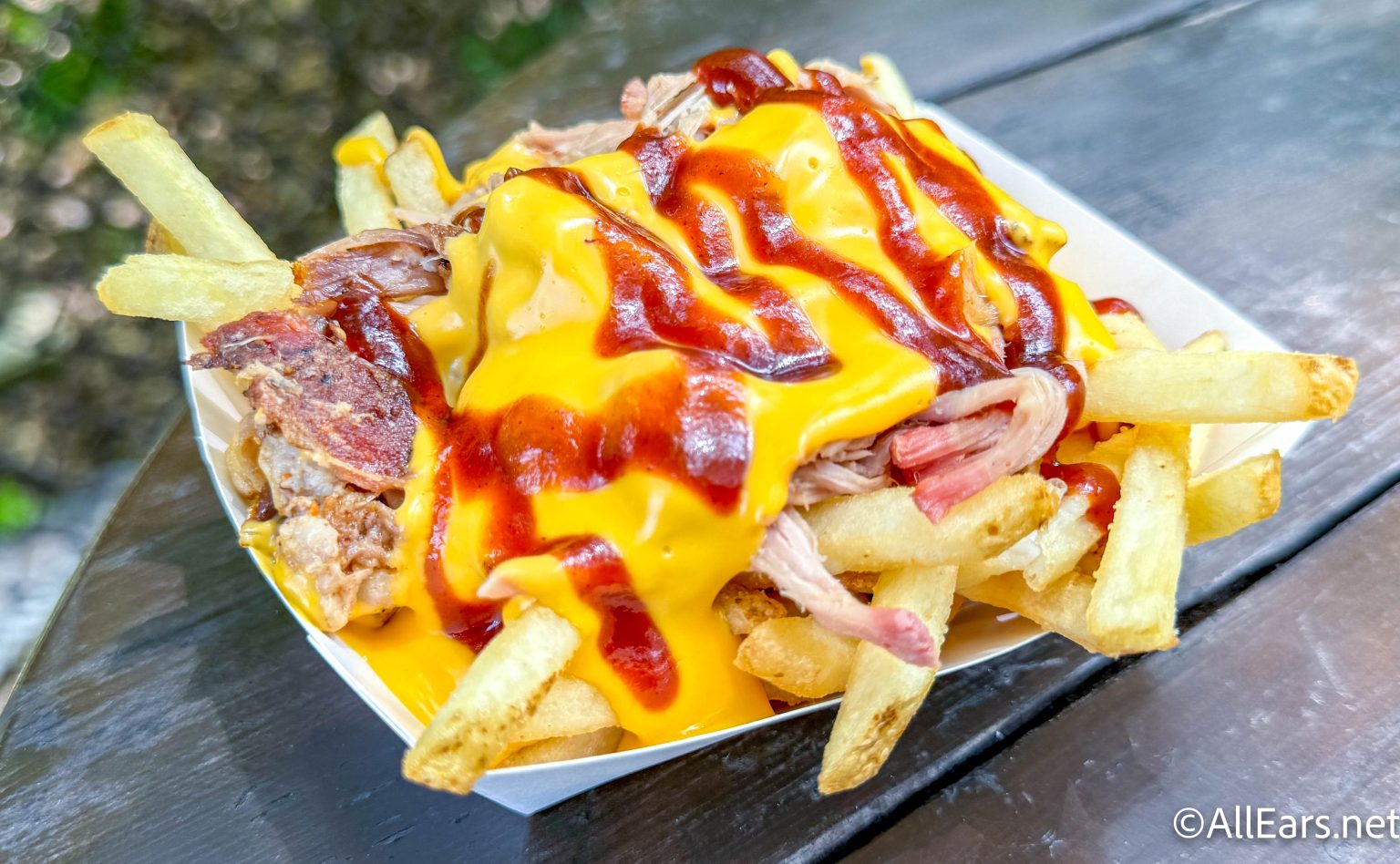 Disney World Is Getting 7 (Yes SEVEN!) New Kinds of Loaded Fries ...