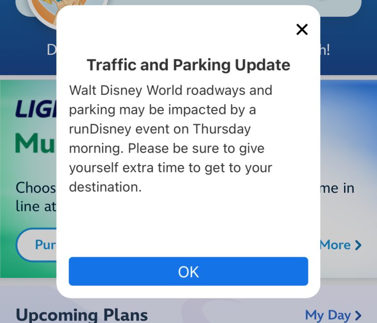 Driving in Disney World Is Going to Get MORE Difficult Next Month ...