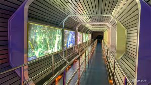 3 Harsh Realities of Riding Space Mountain in Disney World - AllEars.Net