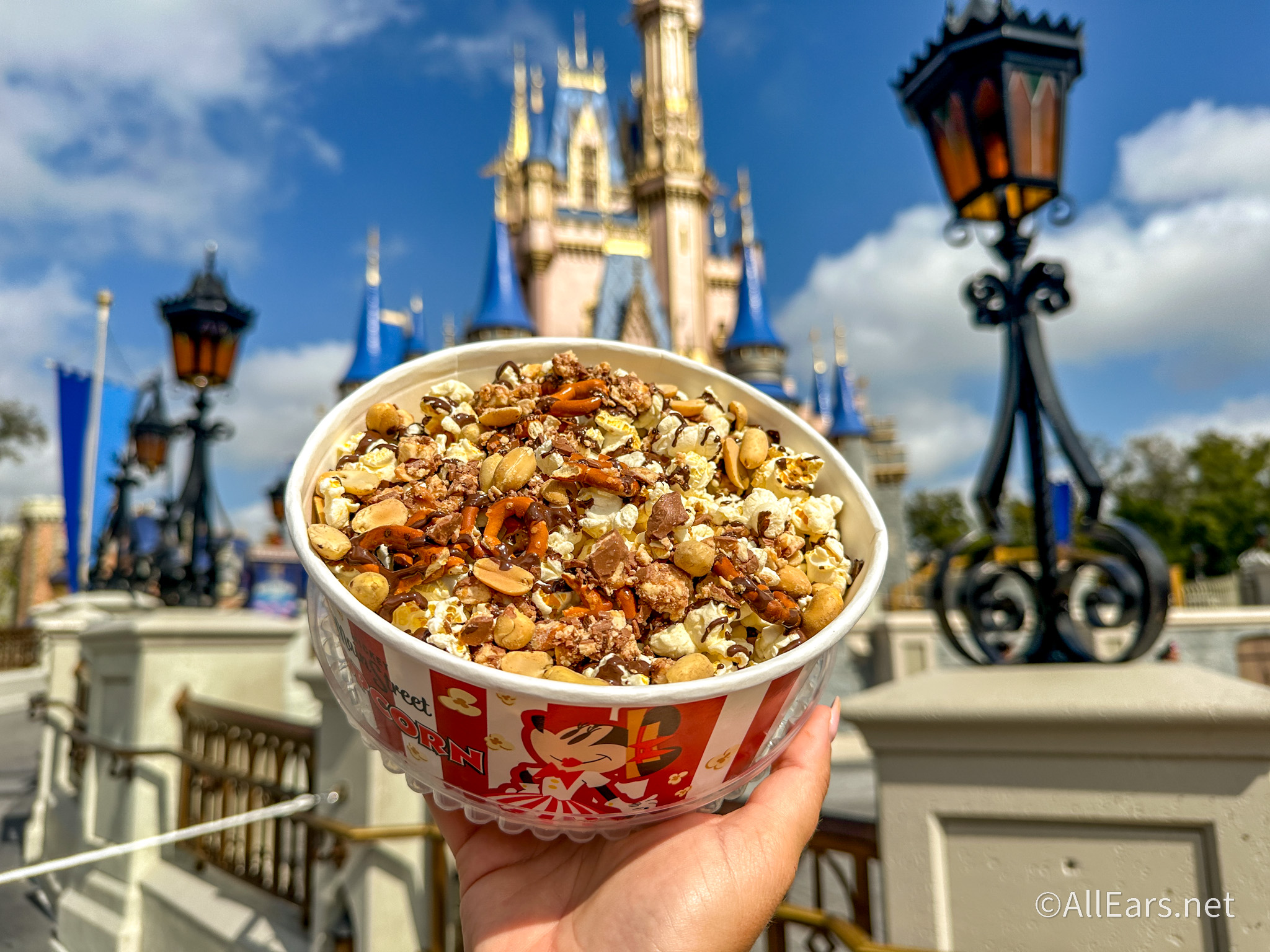 REVIEW: Wait, Did Magic Kingdom Just Combine ALL of Our Favorite Things ...
