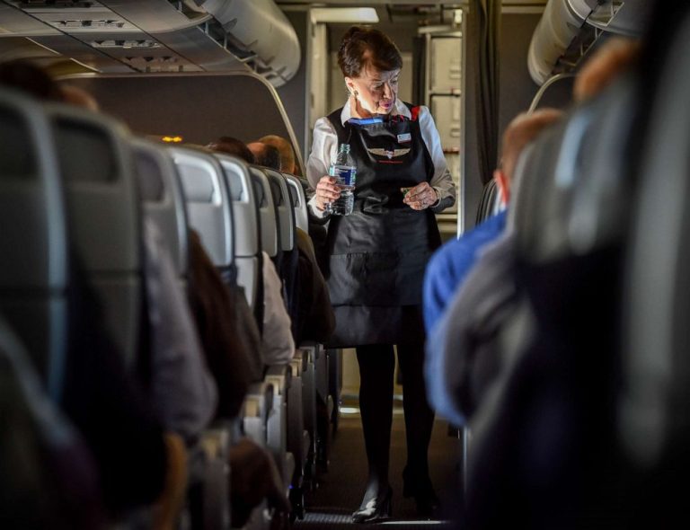 Do Flight Attendants LOVE or HATE This Viral Passenger Trend? - AllEars.Net