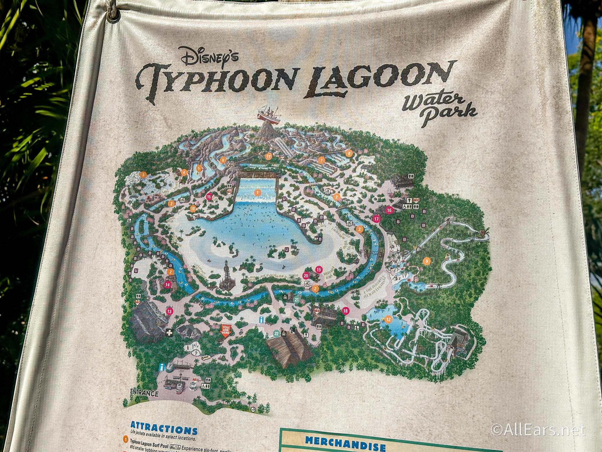The Day Is Here! Typhoon Lagoon Is Now Open at Disney World - AllEars.Net