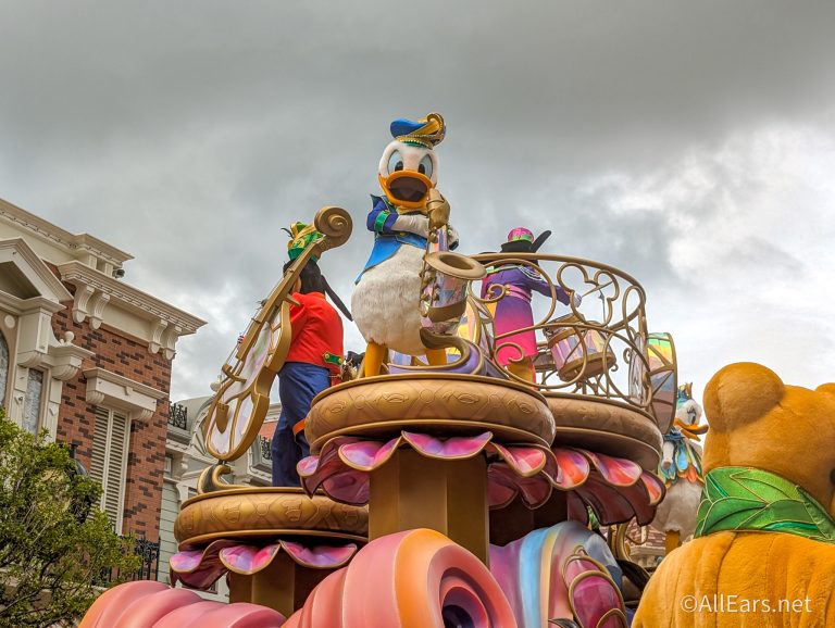 These Are the Most SHOCKING Disney Rules We've Ever Seen - AllEars.Net