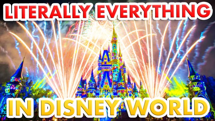 AllEars TV: We Did EVERYTHING In Disney World — 1000 Things in 100 Days ...