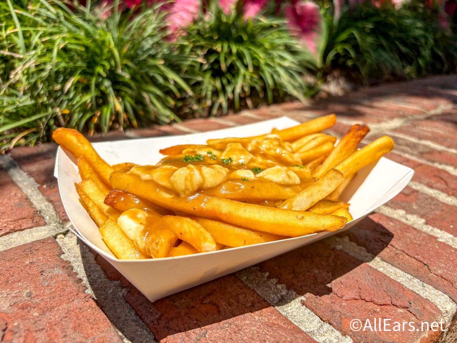 REVIEW: This Is Your Sign to Stop Skipping This French Fry Paradise in ...