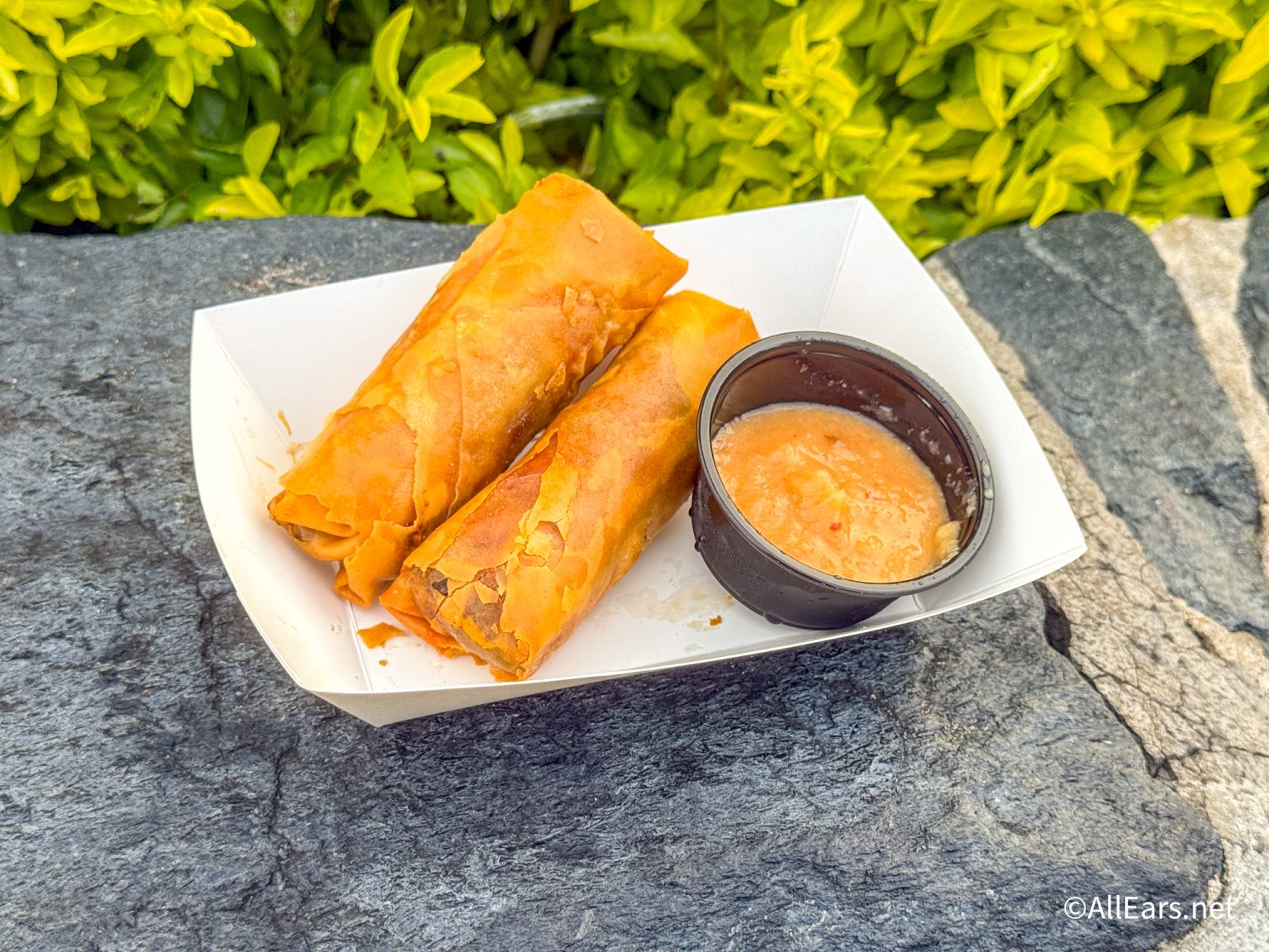 MASSIVE REVIEW: We Tried EVERY Snack at Mickey's Not-So-Scary Halloween ...