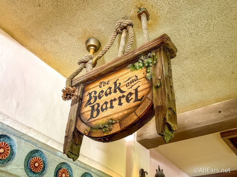 FIRST LOOK Inside Magic Kingdom's NEW Pirate Lounge – The Beak and ...