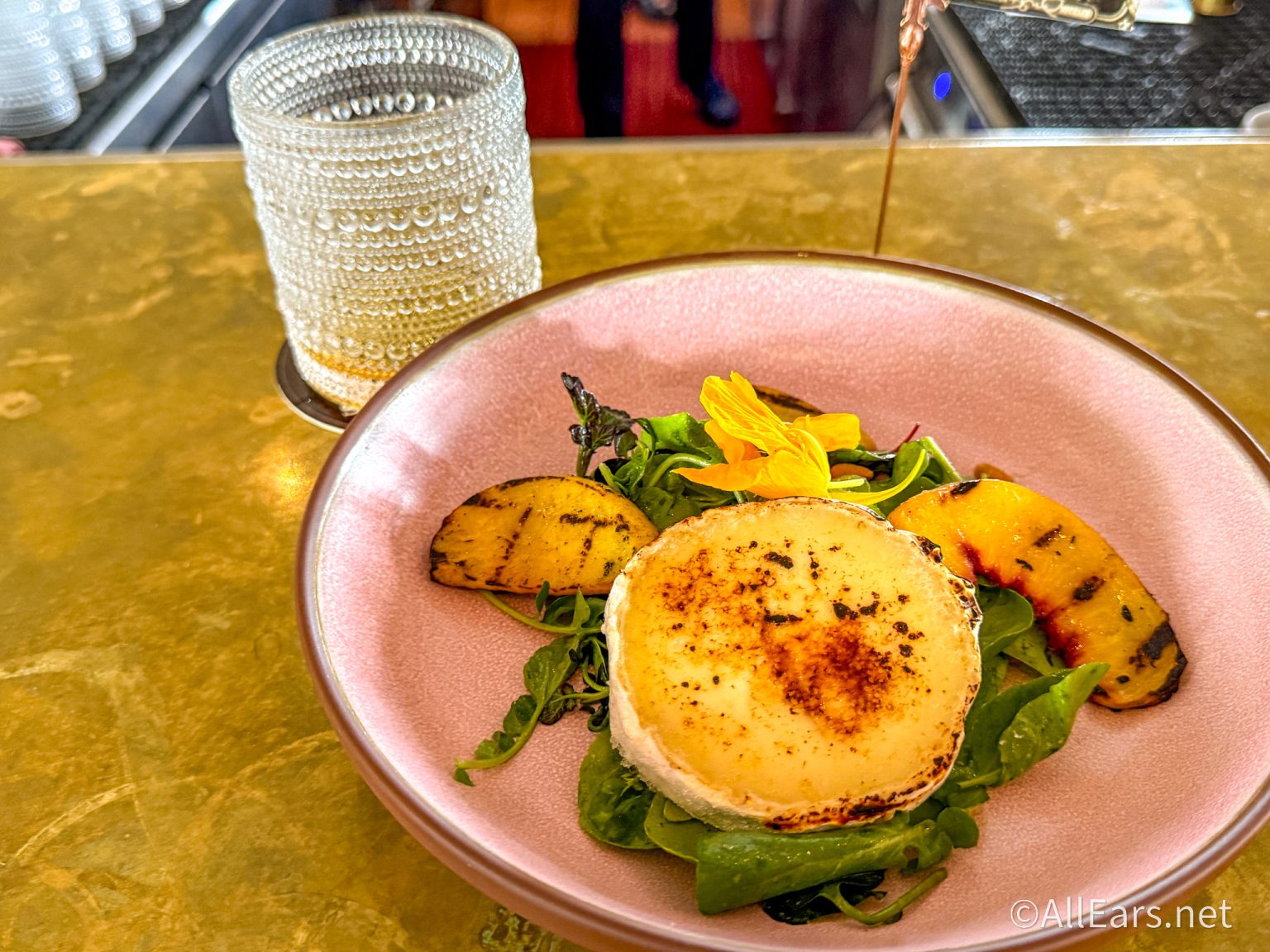 REVIEW: We're Telling You To ESCAPE the Disney Restaurant Bubble. This ...
