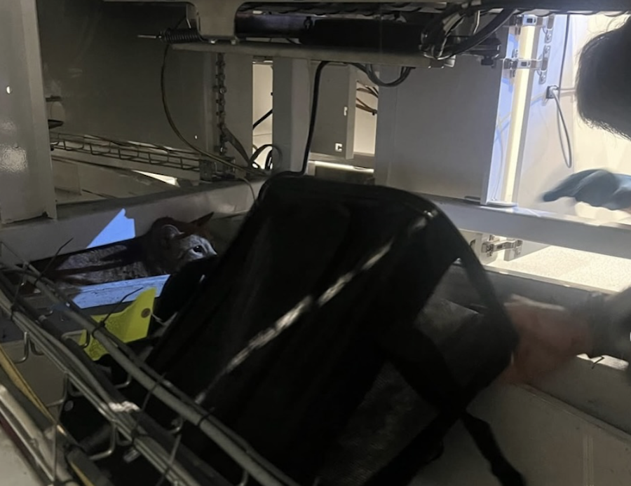 The TSA Just Issued a NEW Travel Warning - AllEars.Net