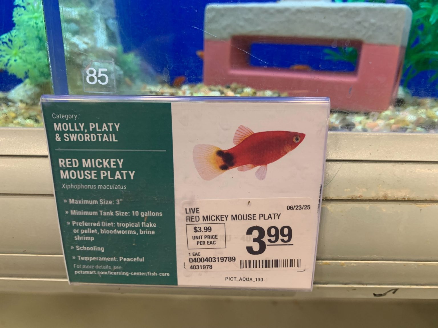 Why Disney Adults Are Suddenly Running to PetSmart - AllEars.Net