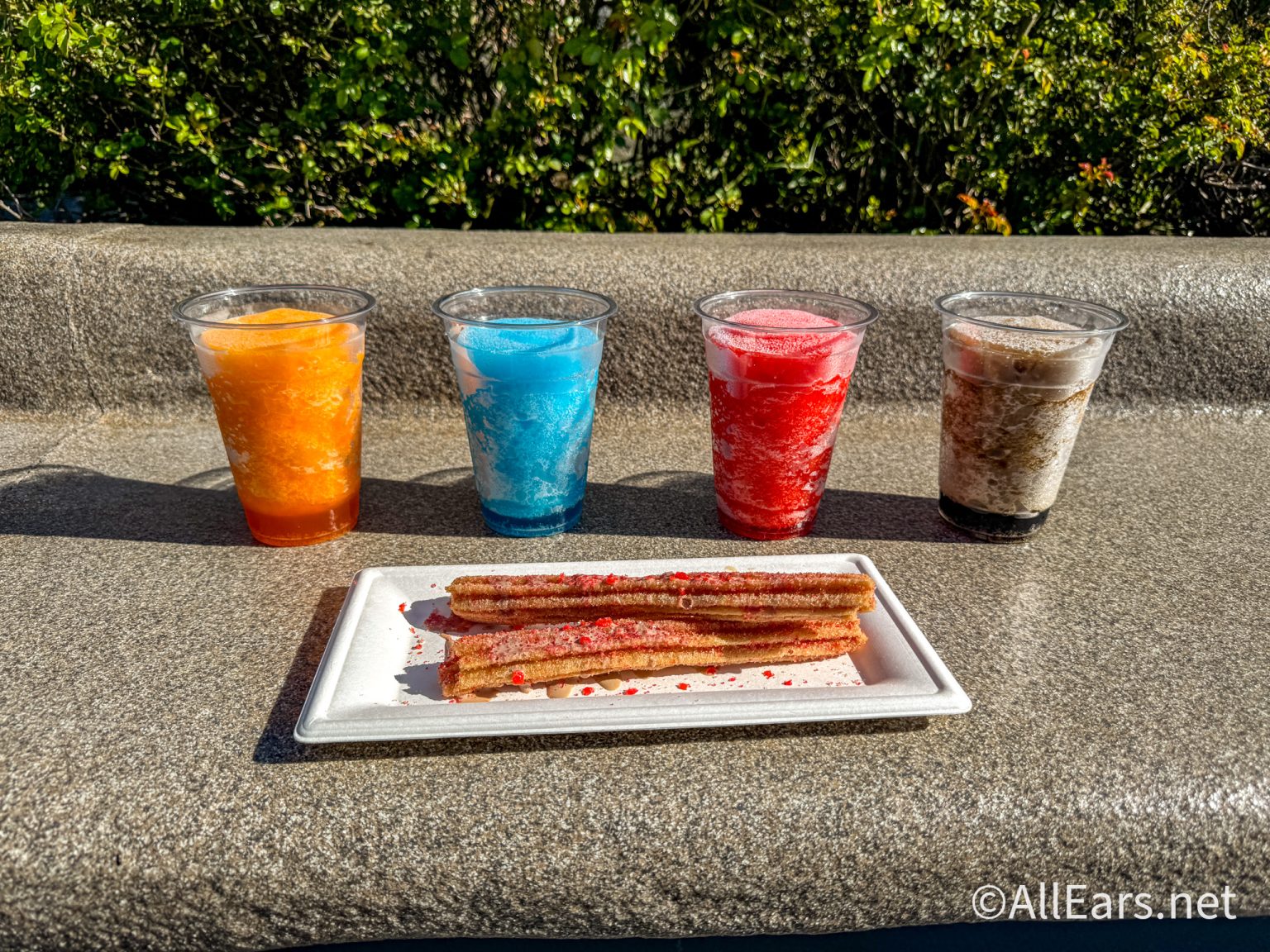 REVIEW: Put DOWN the Mickey Pretzel! A NEW Churro Has Entered the Chat ...