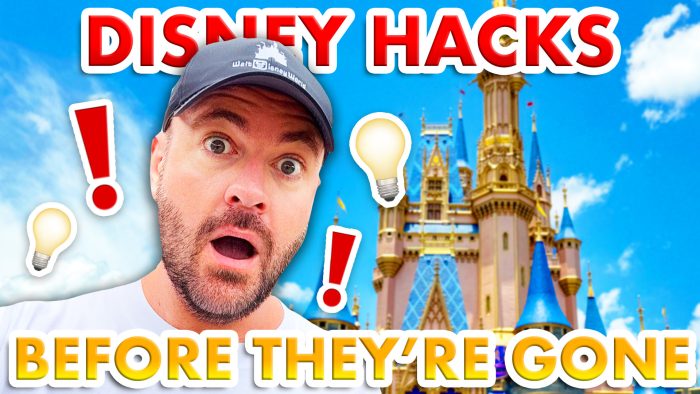 AllEars TV: Use These 10 Disney World Tips Before We Ruin Them ...