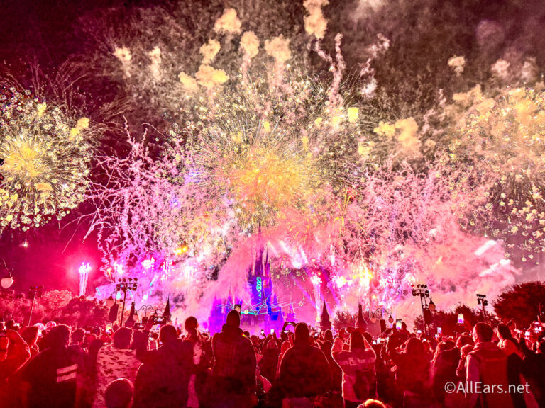 You Can See a RARE Fireworks Show at Magic Kingdom Now! - AllEars.Net