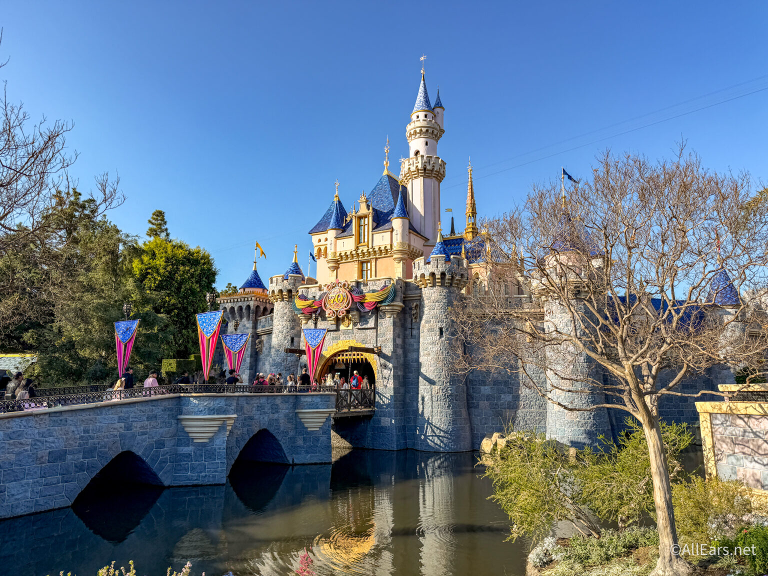 Disney World Needs New Rules for Lightning Lanes This Summer - AllEars.Net