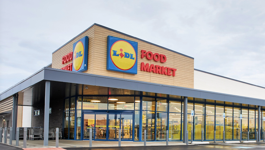 ALDI vs Lidl: Which Store Is Better for Shopping Disney World ...
