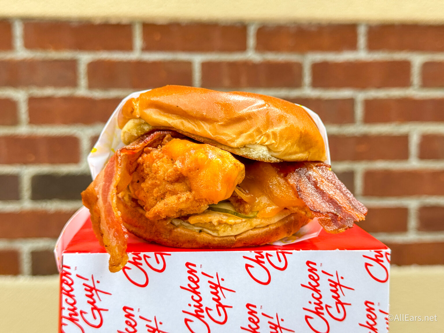 REVIEW: We Need These New Chicken Guy Menu Items YEAR ROUND in Disney ...