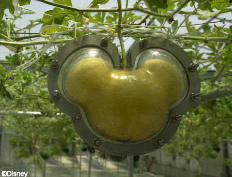 The 5 Funniest Online Plant Scams with Real Garden Alternatives ...